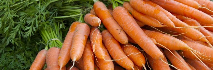 carrot-concrete – Diary of a Tile Addict